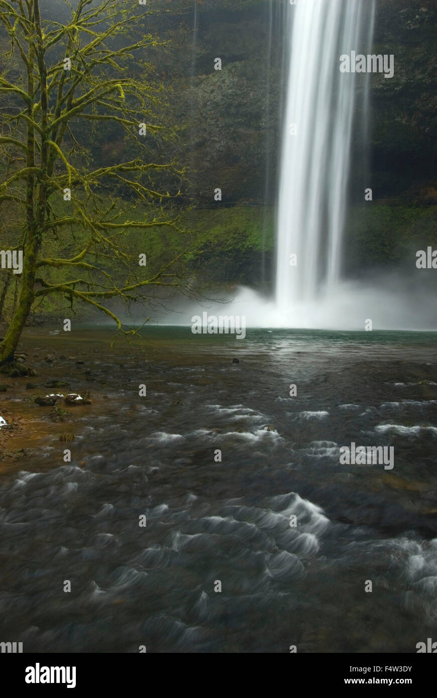 South Falls, Silver Falls State Park, Oregon Stock Photo - Alamy