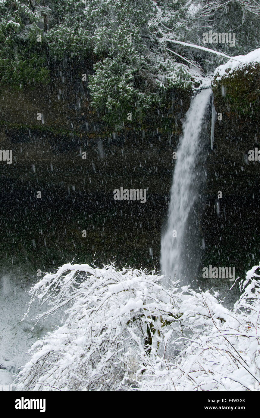 North Falls with snow, Silver Falls State Park, Oregon Stock Photo - Alamy