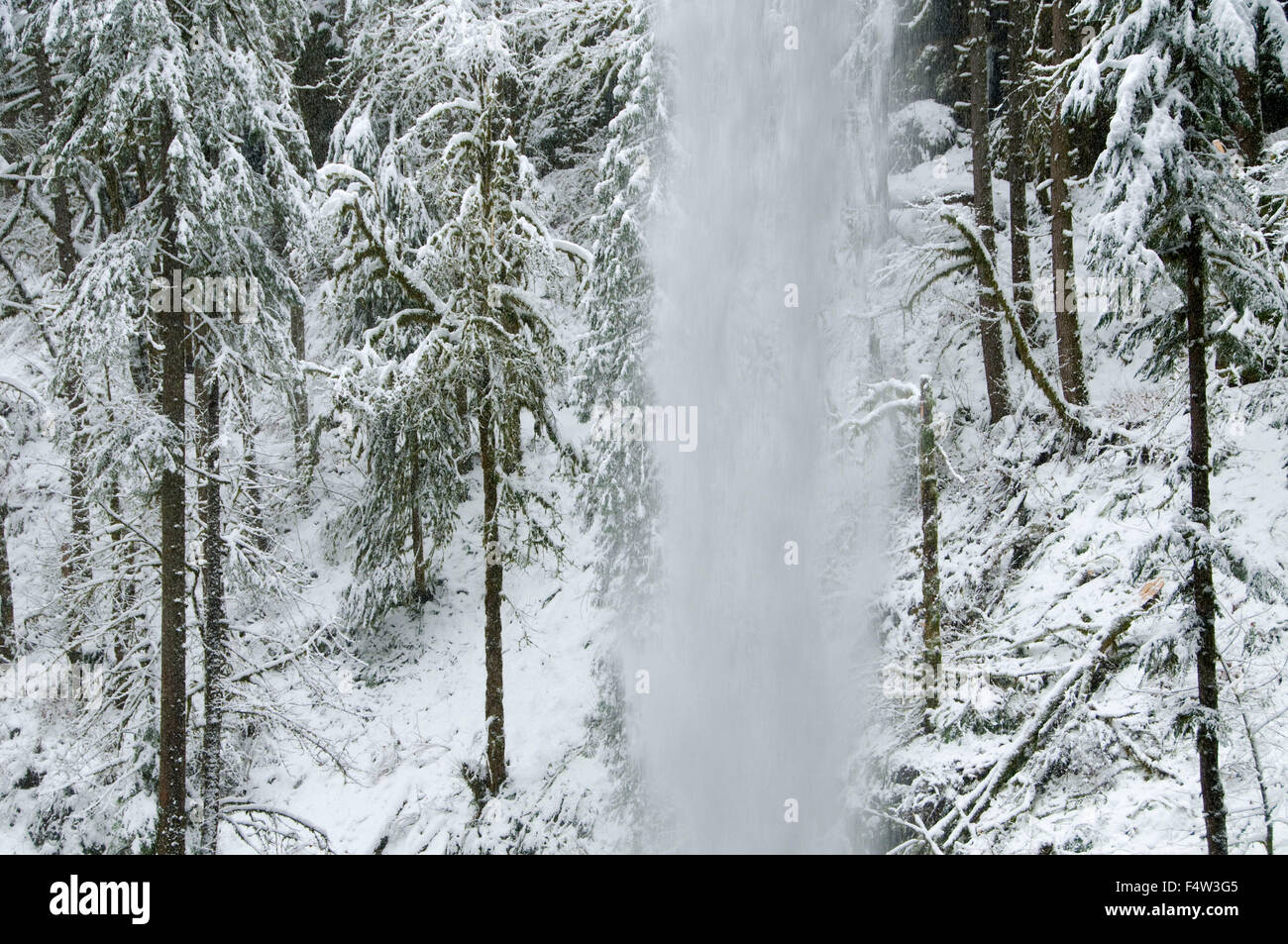 North Falls with snow, Silver Falls State Park, Oregon Stock Photo - Alamy