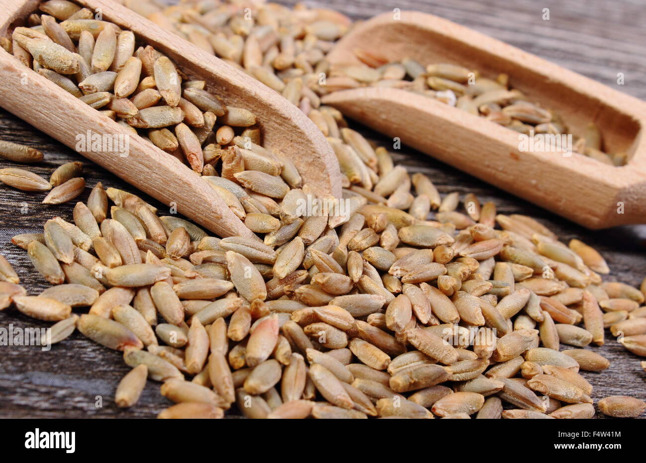 Heap of organic whole rye grain with wooden spoon lying on wooden ...
