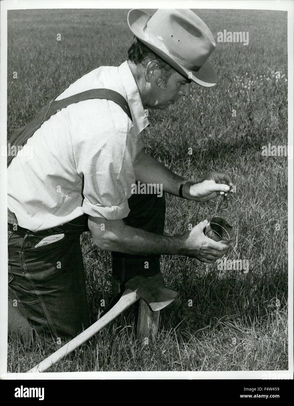 Worm fiddling hi-res stock photography and images - Alamy