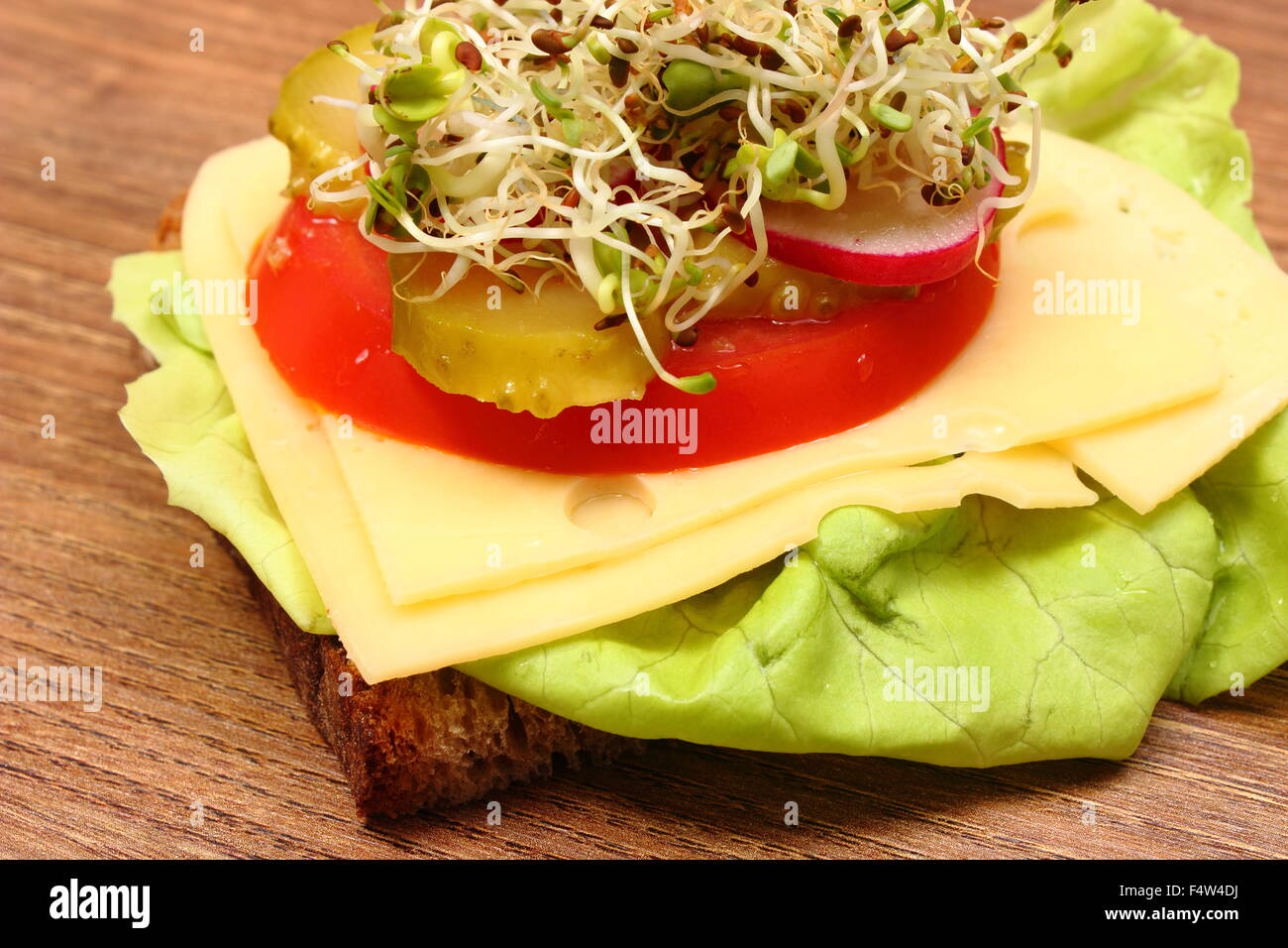Freshly prepared vegetarian sandwich with alfalfa and radish sprouts ...