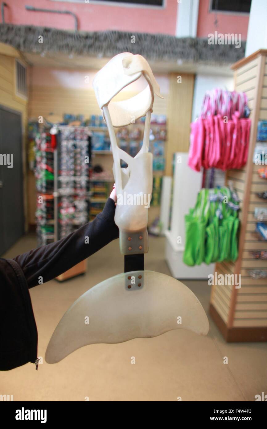 Clearwater, Florida, USA. 23rd Dec, 2013. A prosthetic dolphin tail at ...