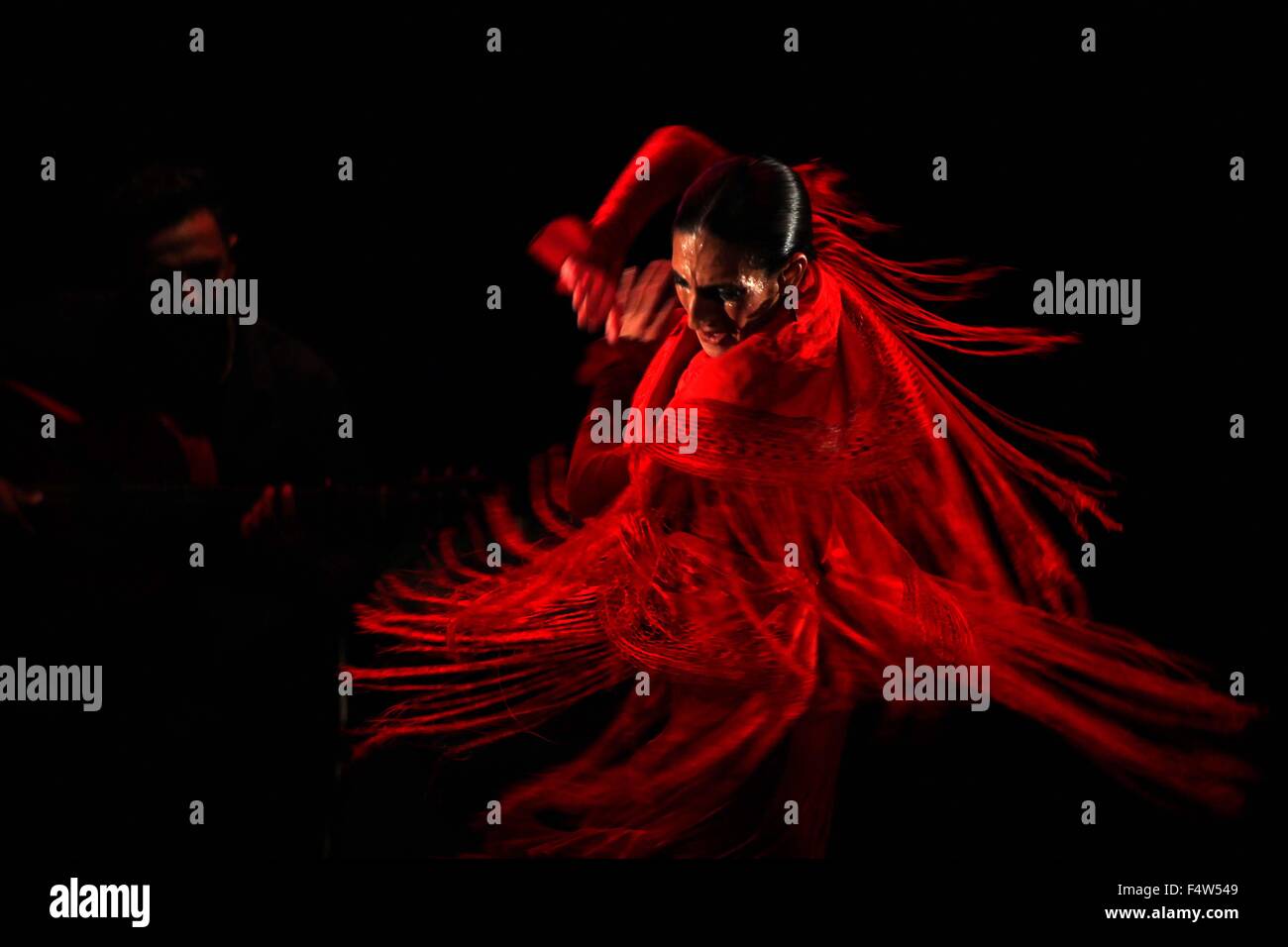 Amman. 22nd Oct, 2015. Spanish Flamingo Dancer Ursula Lopez performs at ...