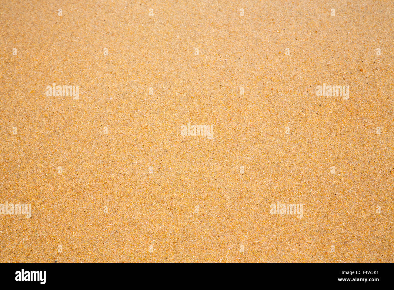 footstep kho samui bay thailand asia rock stone abstract texture south ...