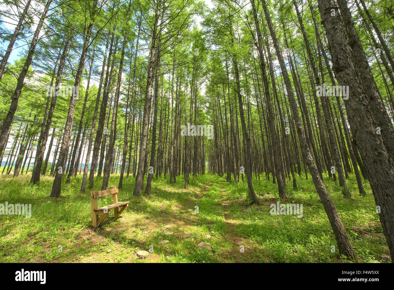 Greater higgnan mountains hi-res stock photography and images - Alamy