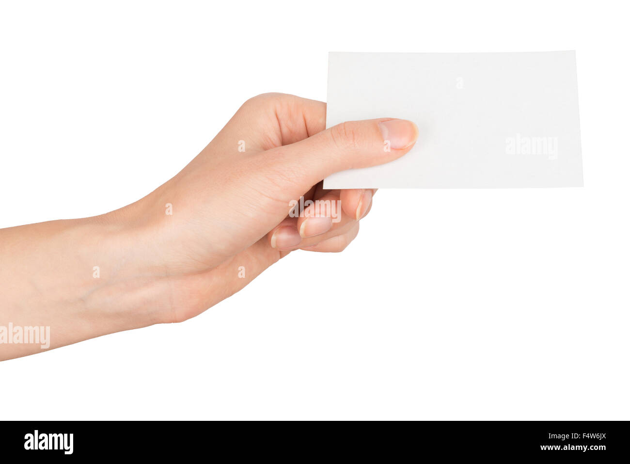 Womans hand holding vertical small empty card Stock Photo - Alamy