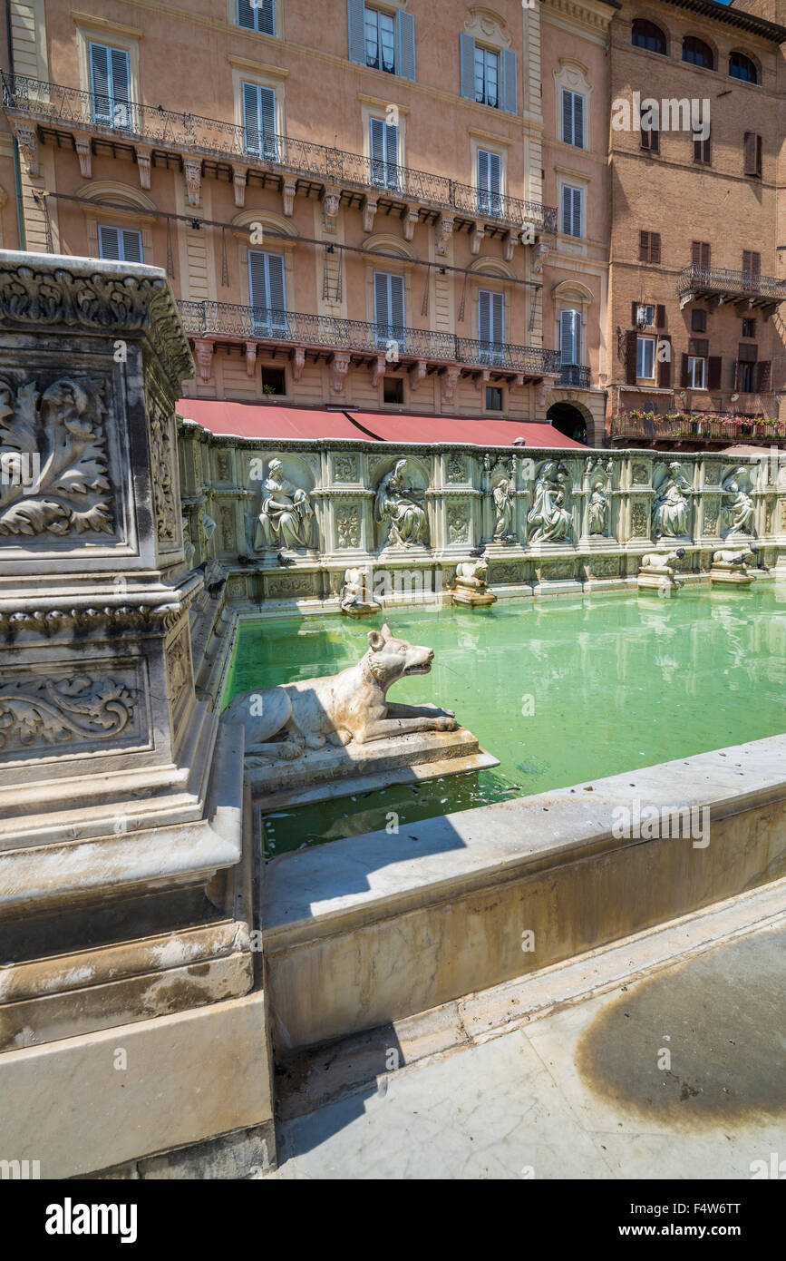Fonte gaia (fountain of joy) in siena hi-res stock photography and ...