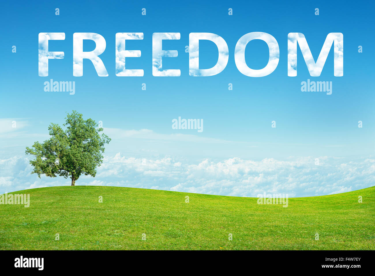 Landscape with word freedom Stock Photo - Alamy