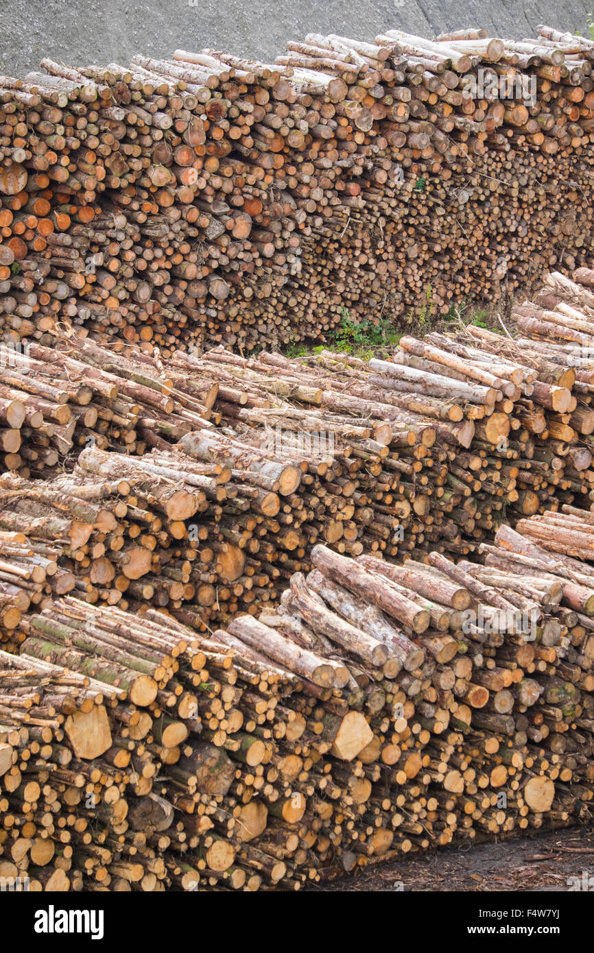 Timber stacked in a wood yard on Wenlock Edge, Shropshire, England, UK ...