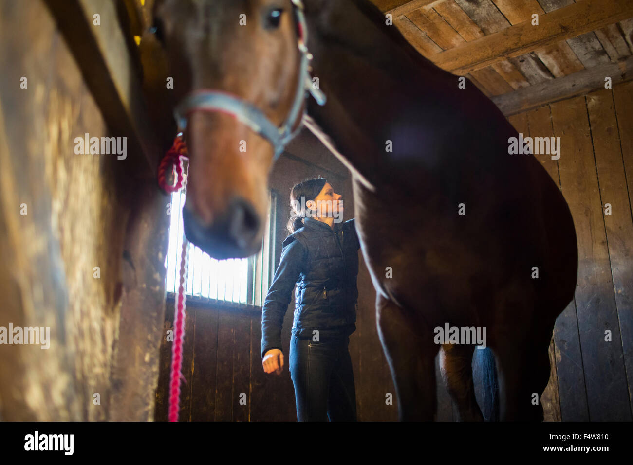 Sweden, Ostergotland, Vaderstad, Woman in stables Stock Photo - Alamy