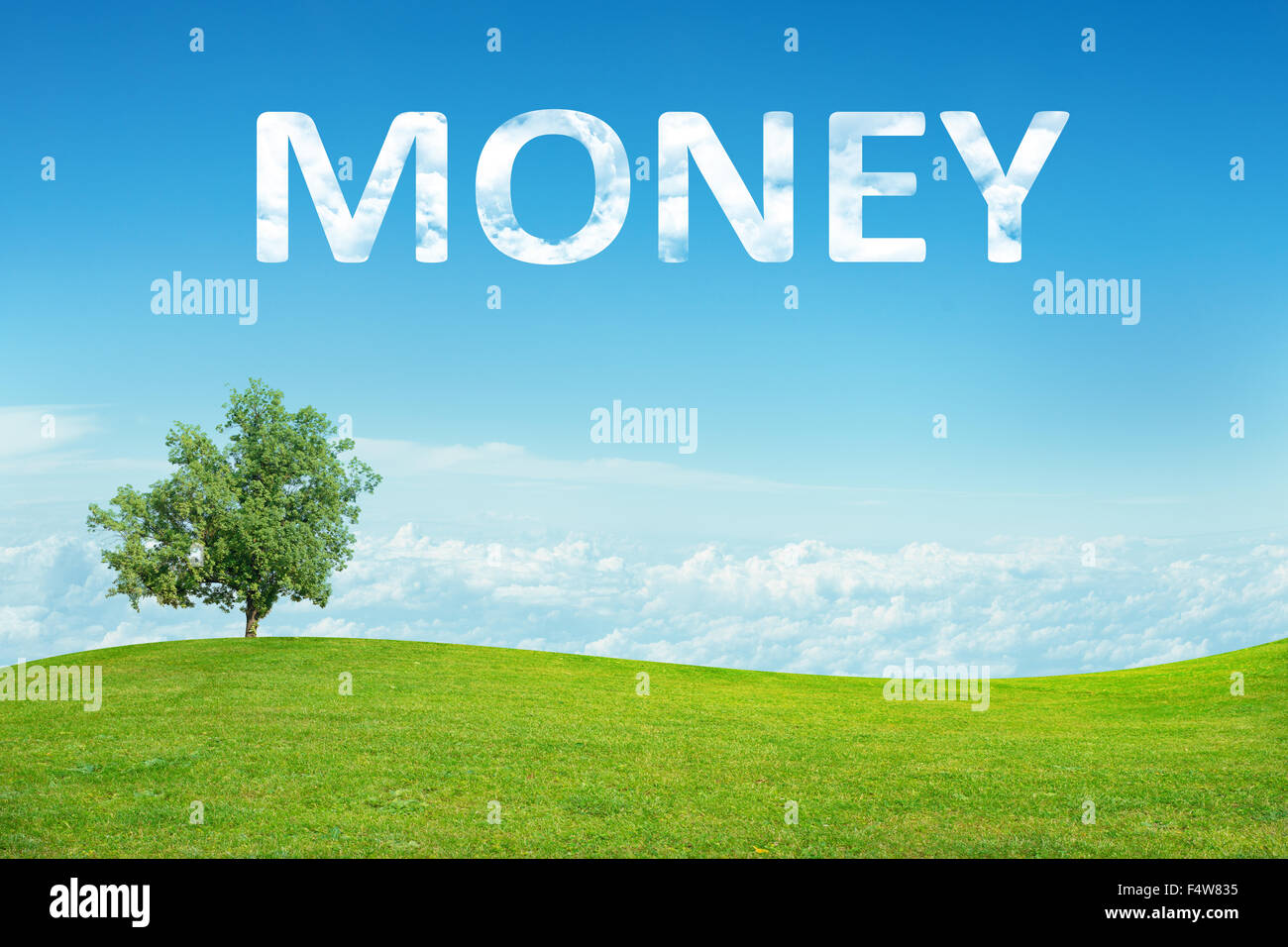 Landscape with word money Stock Photo - Alamy