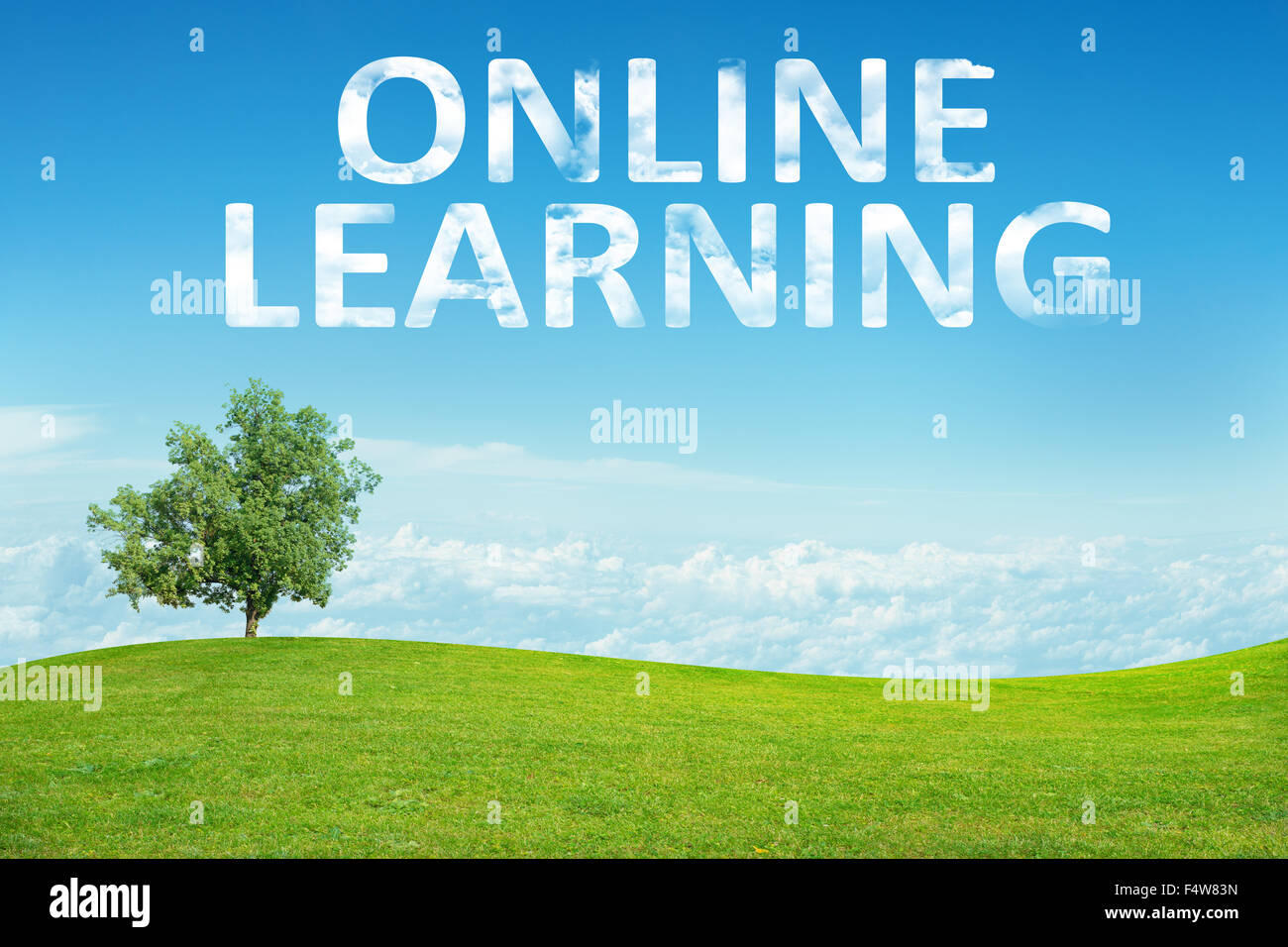 Landscape with words online learning Stock Photo - Alamy