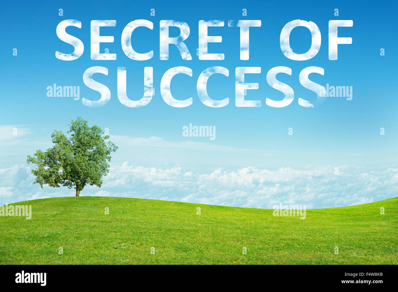 Secret to success hi-res stock photography and images - Alamy