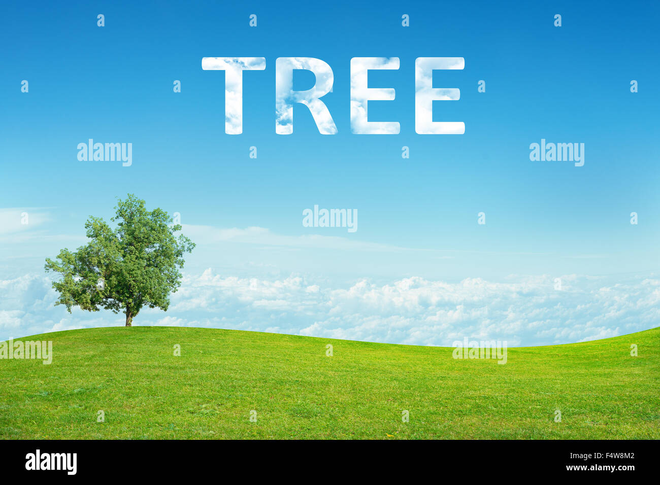 Landscape with word tree Stock Photo - Alamy