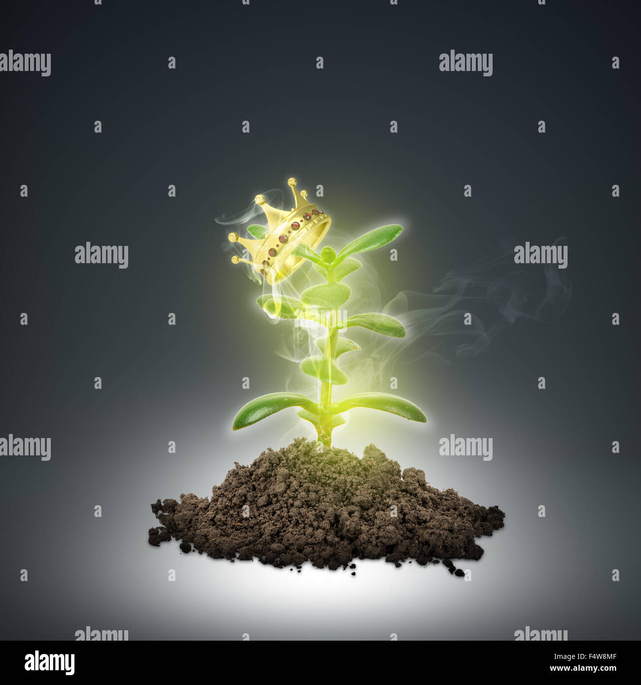 Ground with green plant and crown sign Stock Photo - Alamy