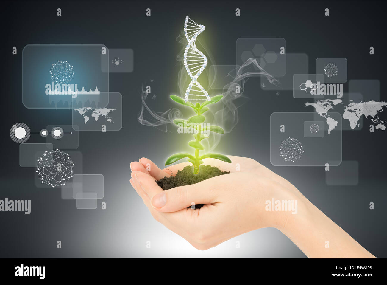 Womans hands holding plant with DNA Stock Photo - Alamy