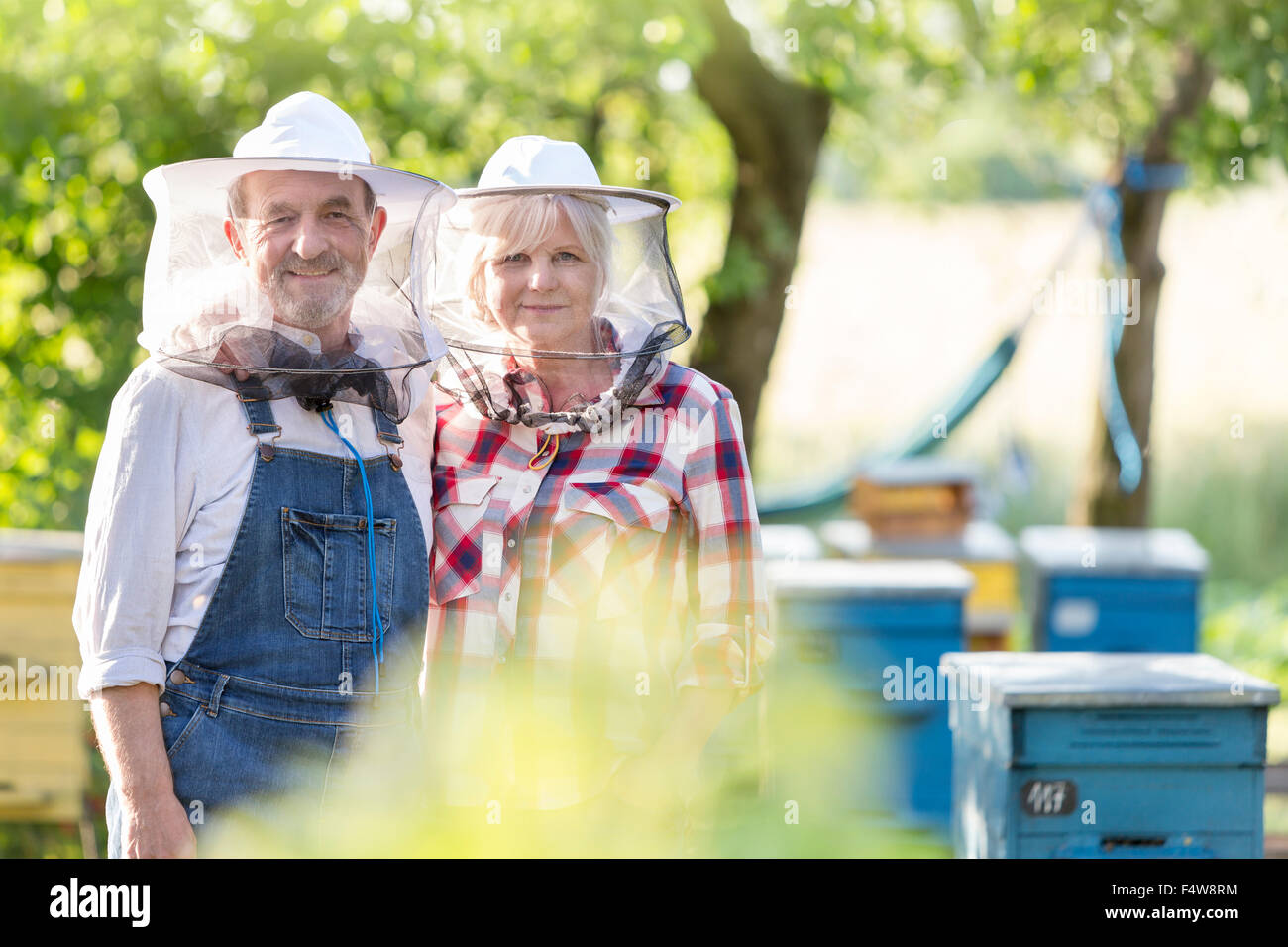 Mature beekeeper working beehive in hi-res stock photography and images ...