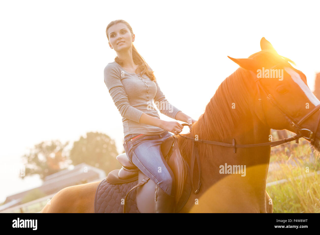 Woman horseback riding Stock Photo - Alamy