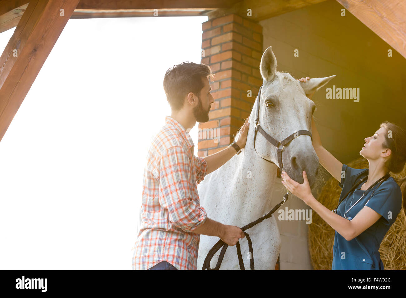 Couple petting horse in rural stable Stock Photo - Alamy