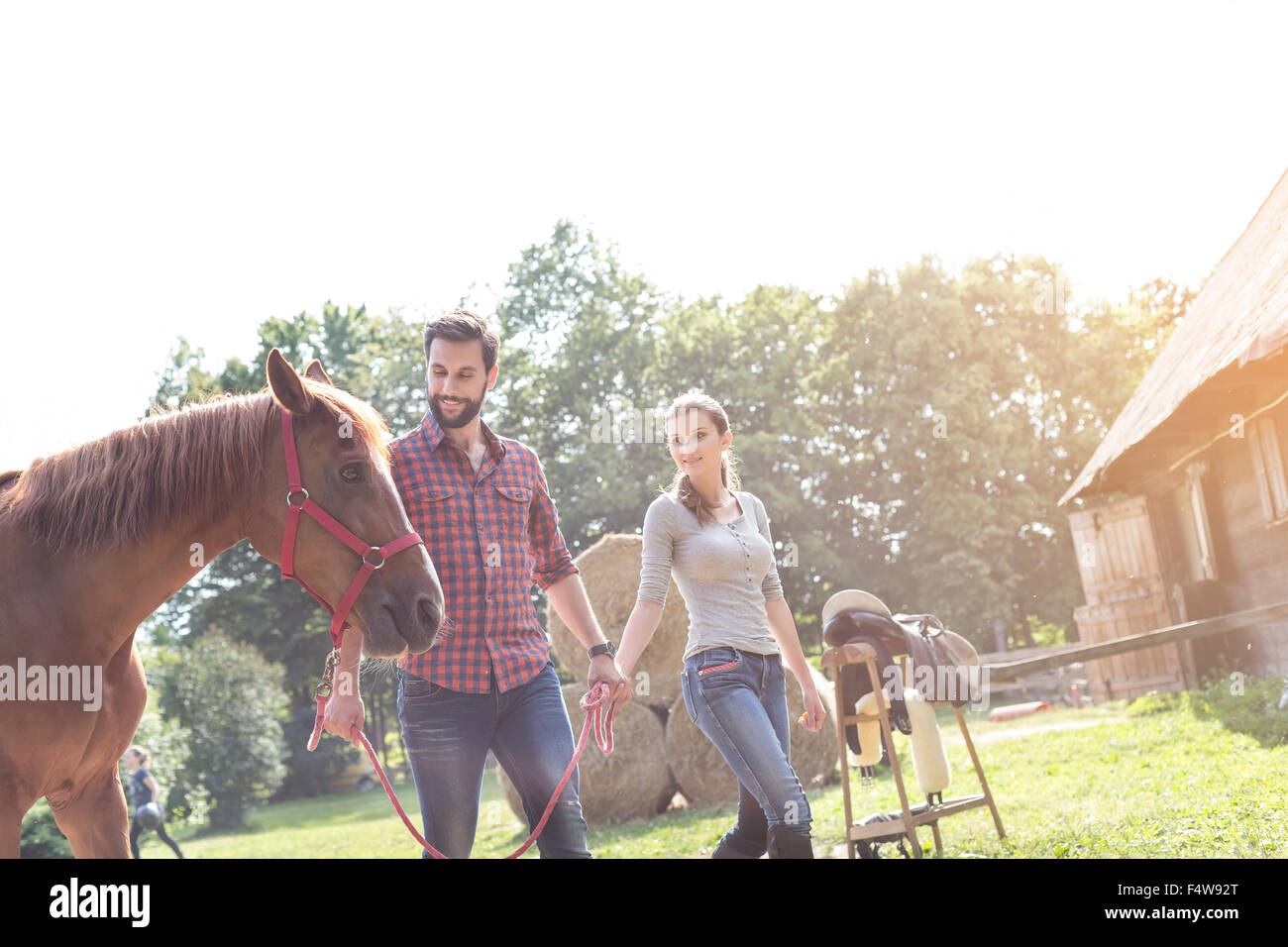 Walking horse hi-res stock photography and images - Alamy