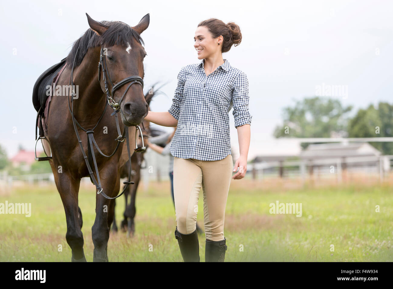 Walking horse hi-res stock photography and images - Alamy