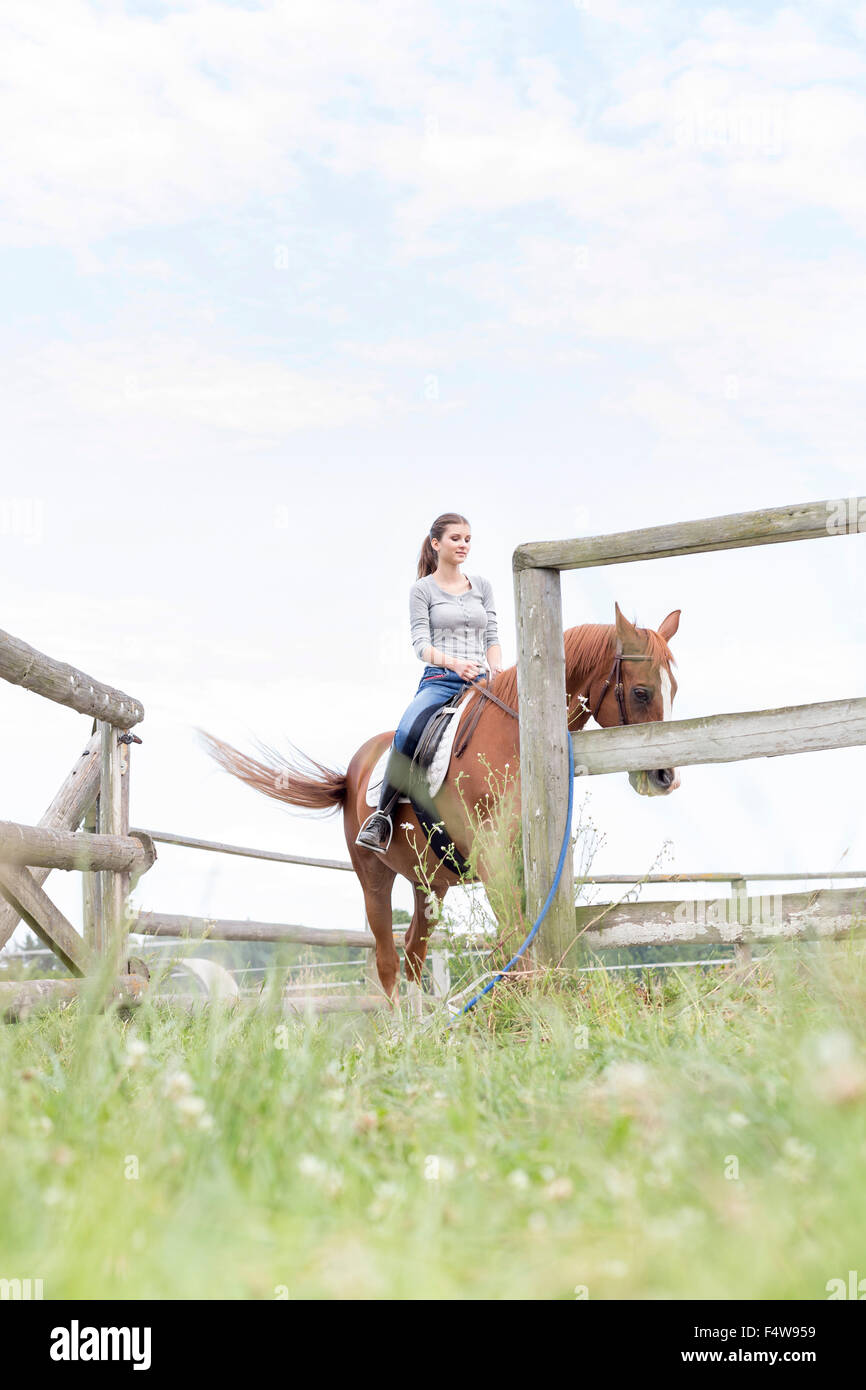 Woman horseback riding hi-res stock photography and images - Alamy