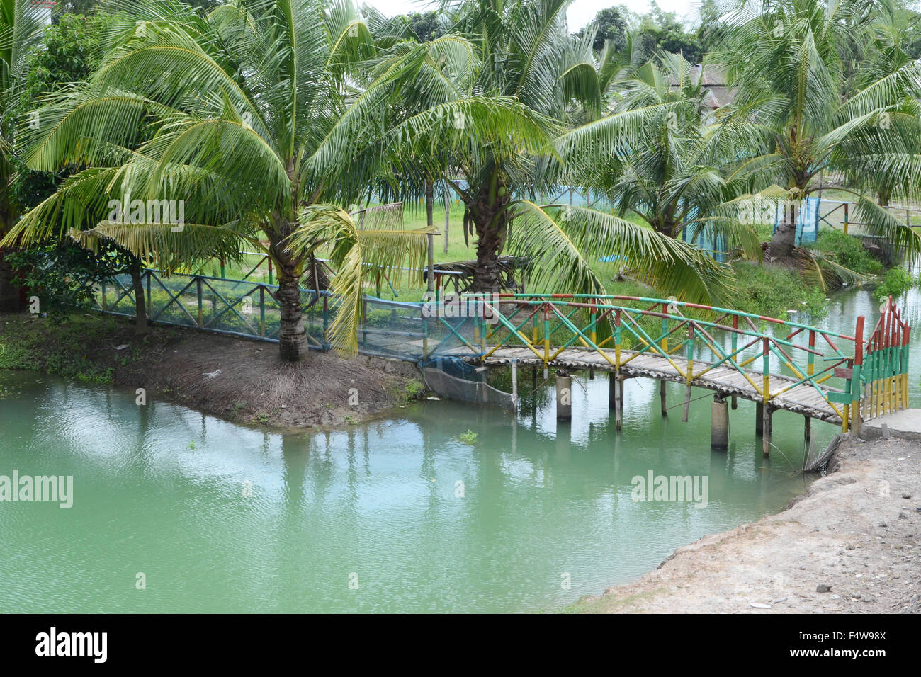 Coconut trees bridge hi-res stock photography and images - Alamy