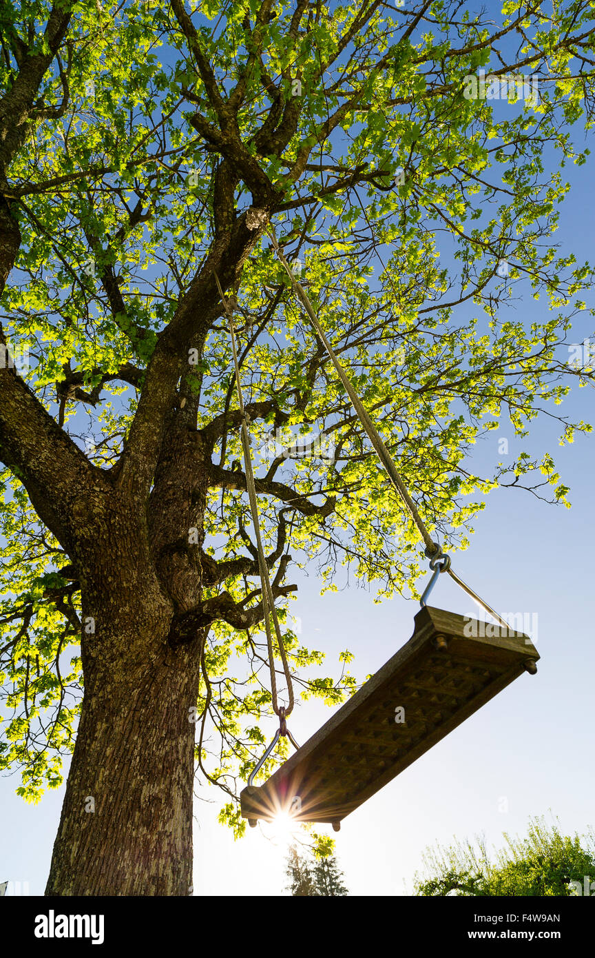 From tree hi-res stock photography and images - Alamy