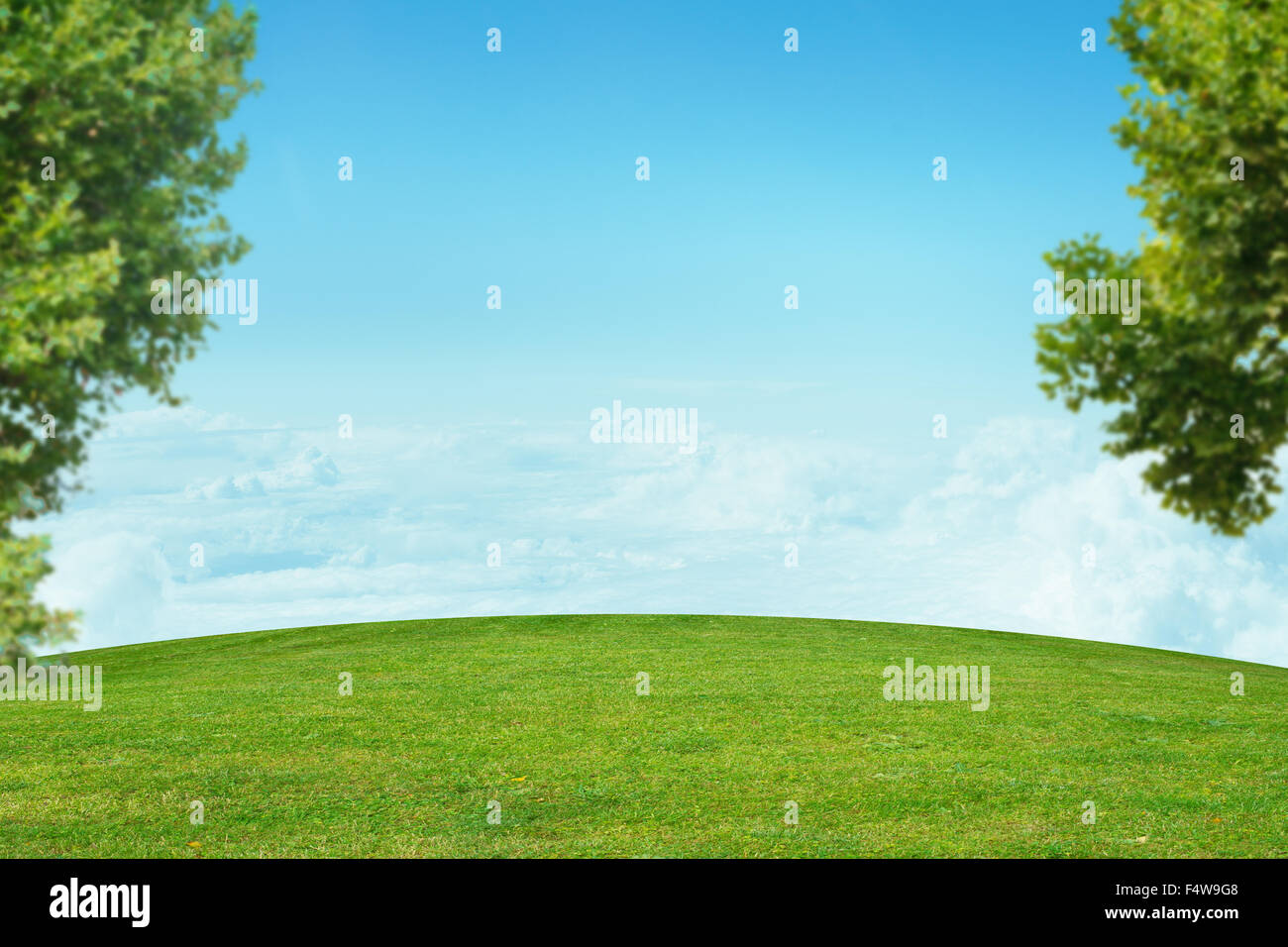 Landscape with green trees and sun Stock Photo - Alamy