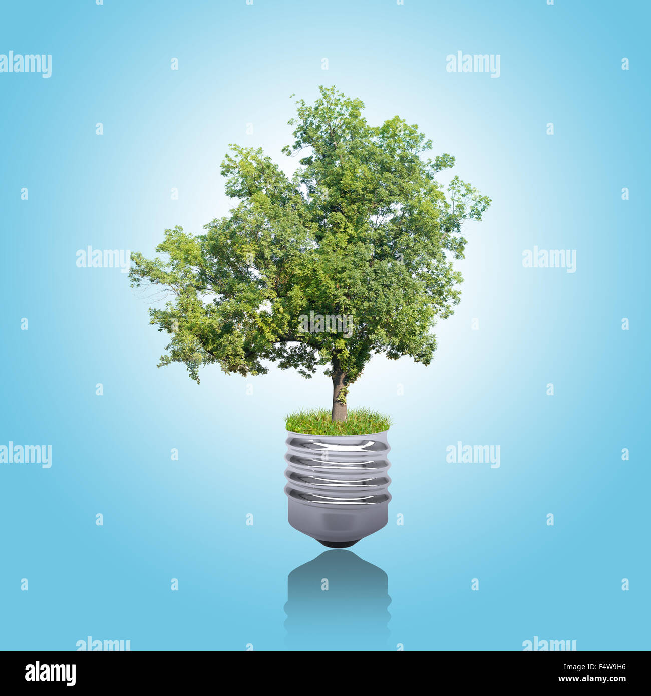 Tree foundation hi-res stock photography and images - Alamy