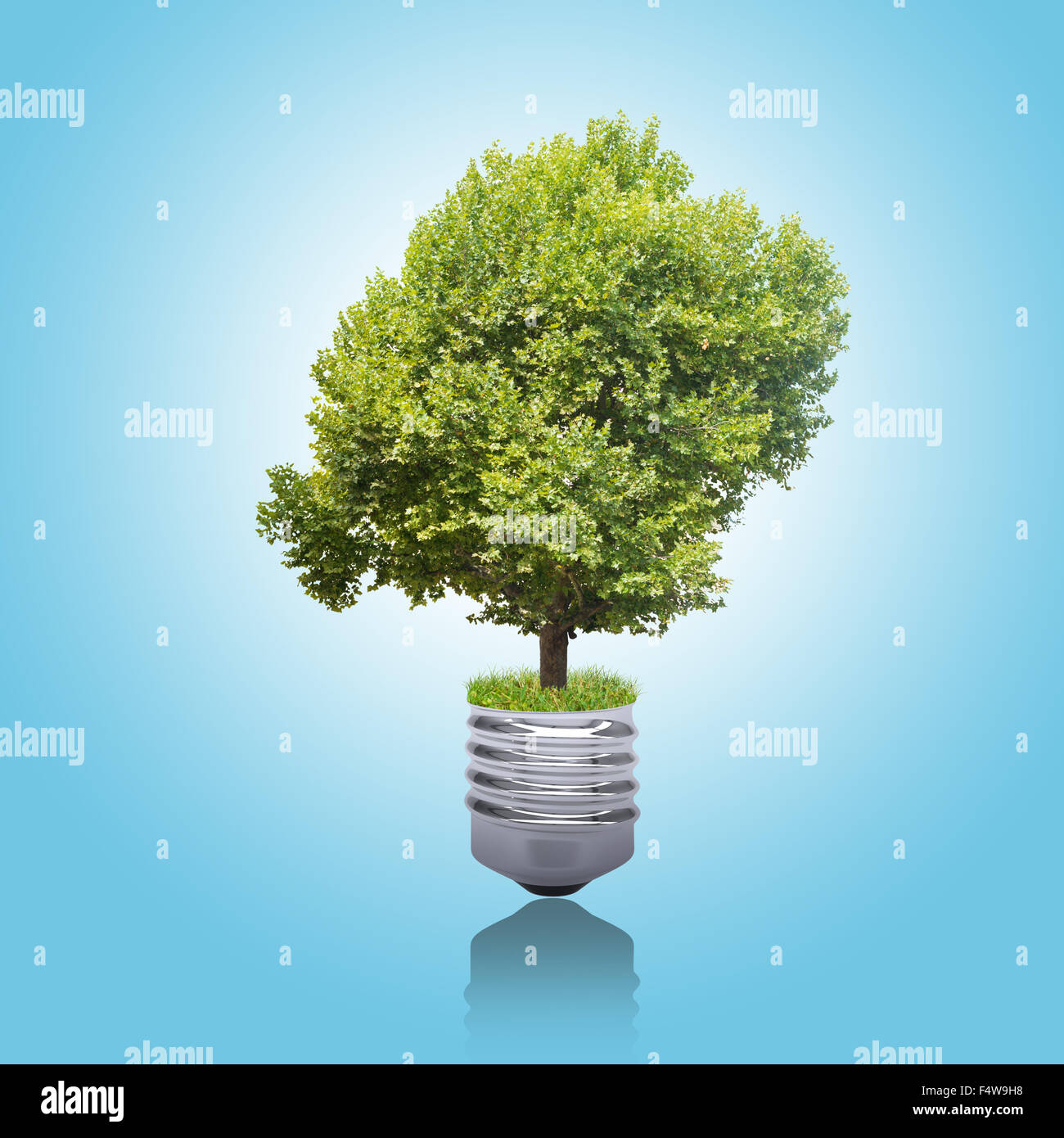 Green tree in bulb foundation on blue Stock Photo - Alamy