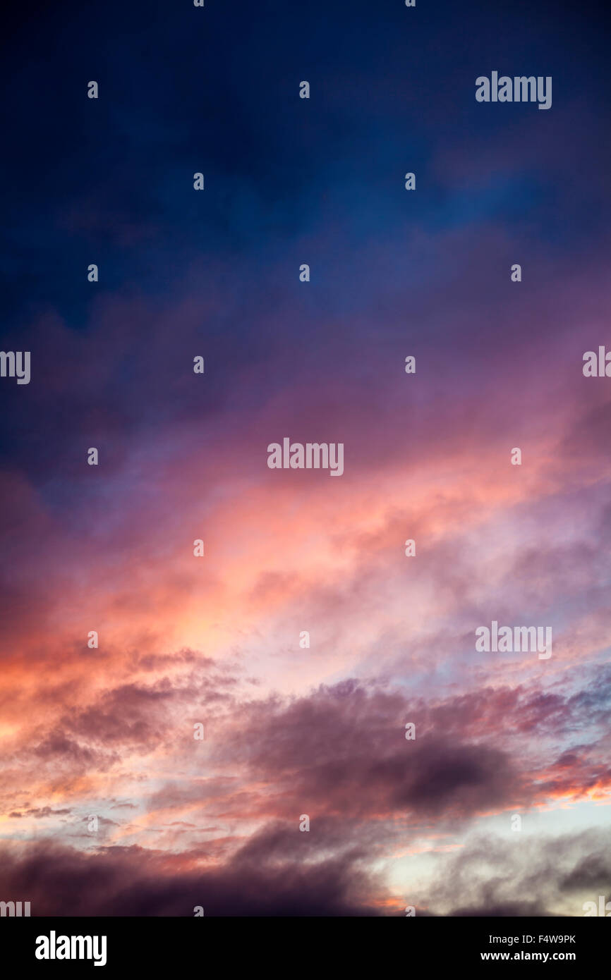 Sweden, Uppland, Runmaro, Barrskar, View of cloudy sky Stock Photo - Alamy