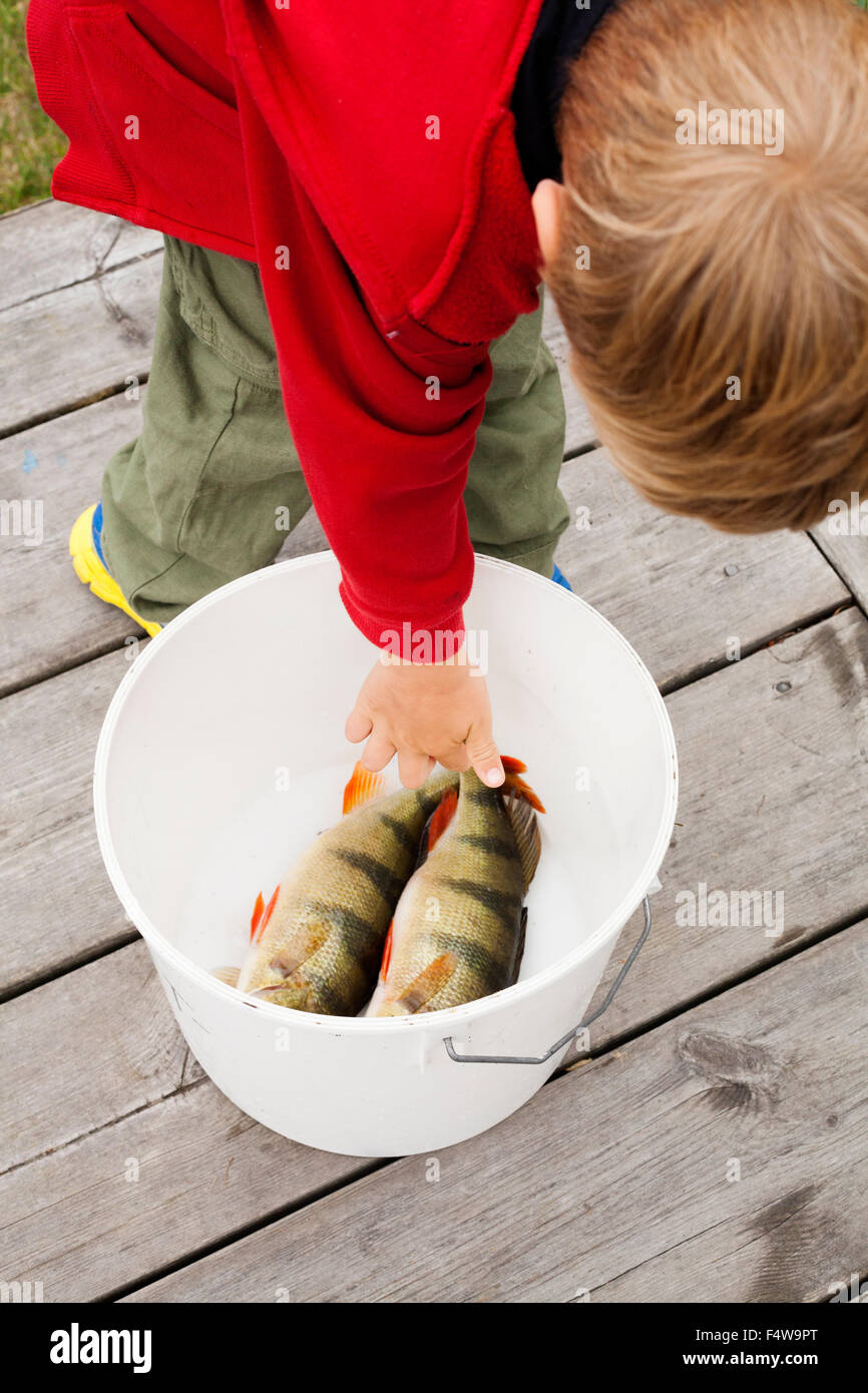 Person touching fish High Resolution Stock Photography and Images - Alamy