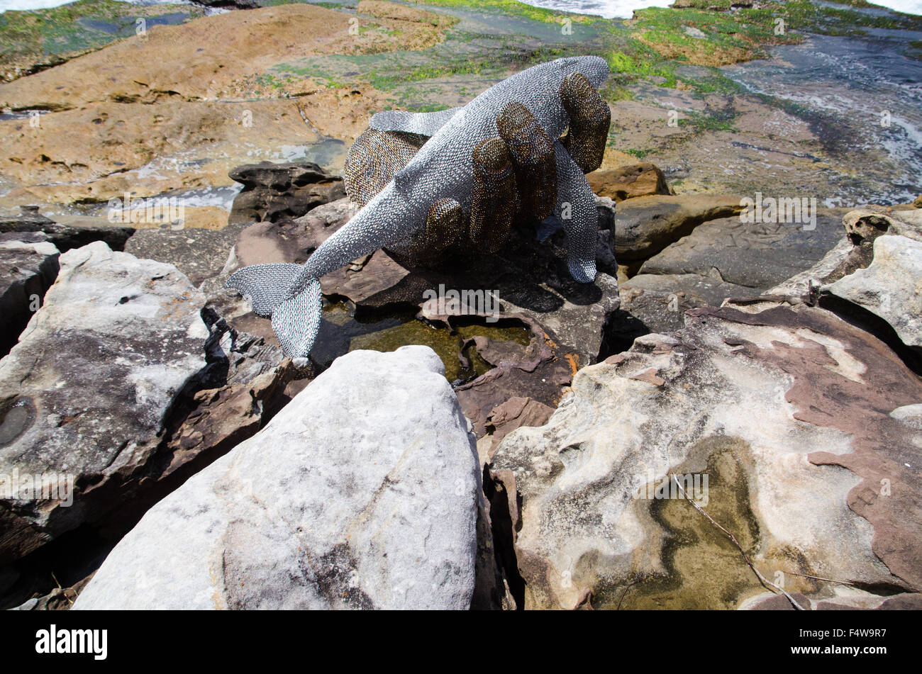 Mike van dam hi-res stock photography and images - Alamy