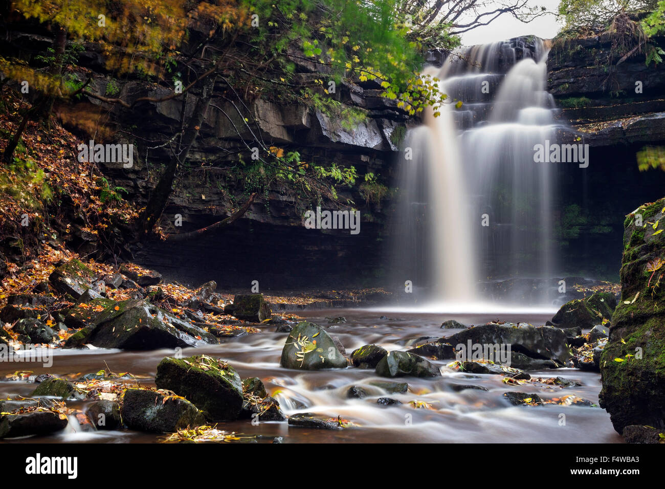 Summerhill Force and Bowlees Beck in Autumn, Bowlees, Teesdale, County ...