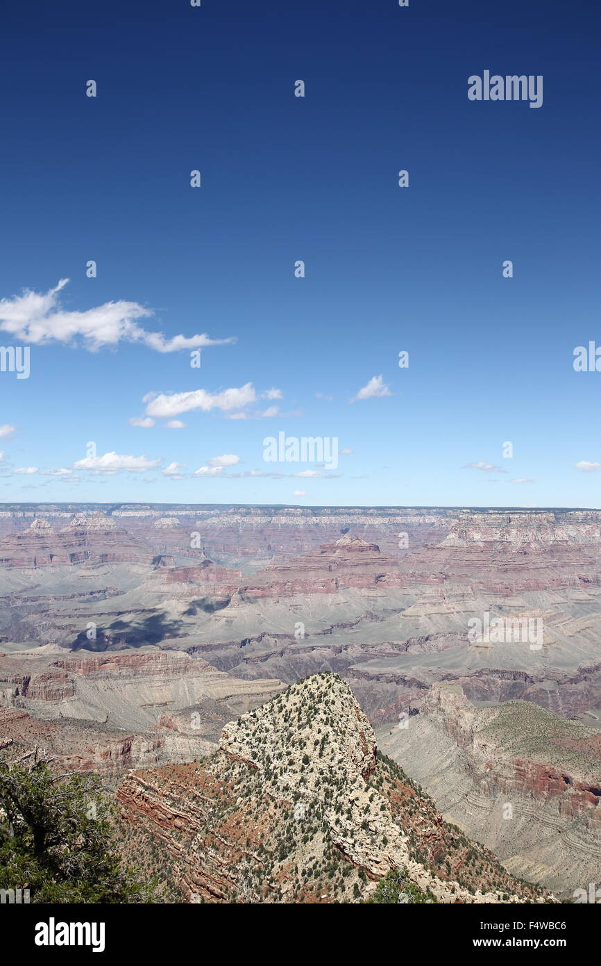 Overlooking the Grand Canyon Stock Photo - Alamy