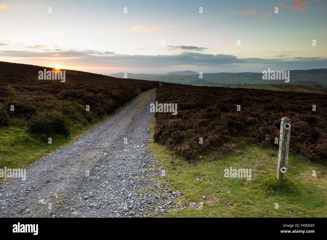 Shropshire medlicott hi-res stock photography and images - Alamy