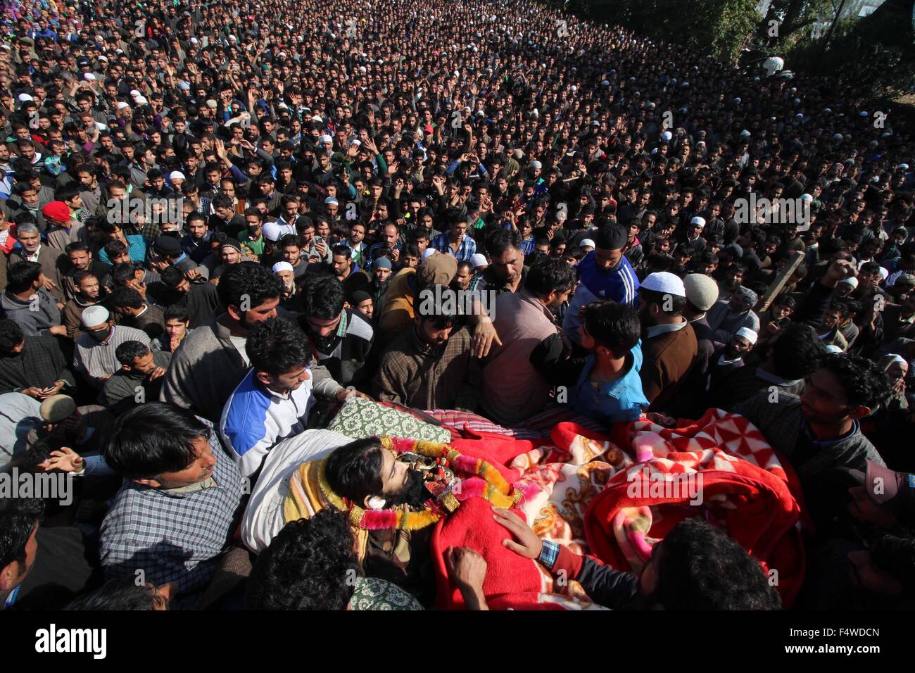Shopian, India. 23rd Oct, 2015. (EDITORS NOTE: Image contains graphic ...