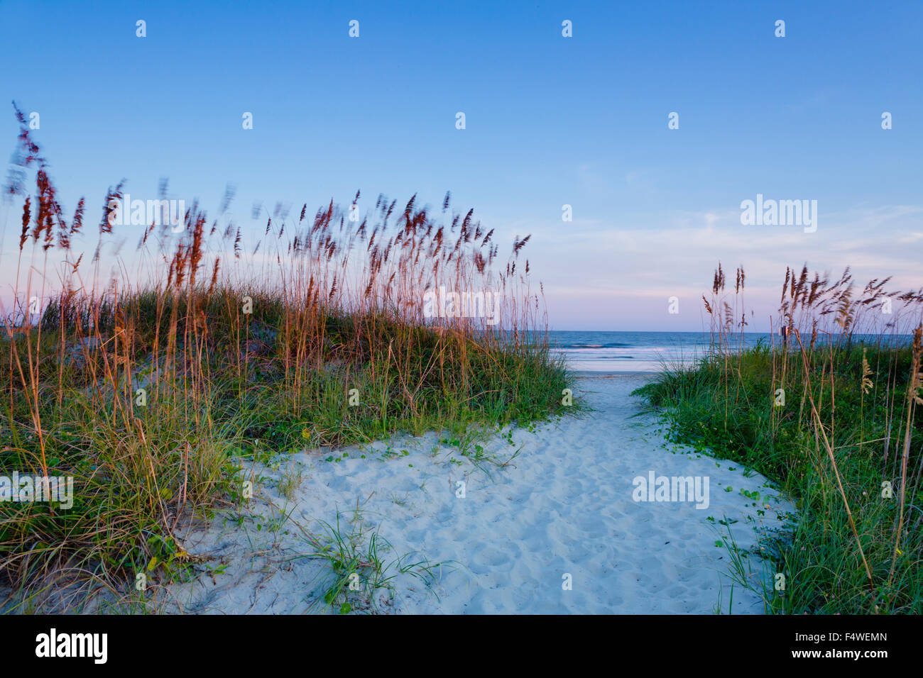 Isle Of Palms Beach At Dusk Usa South Carolina Charleston Stock