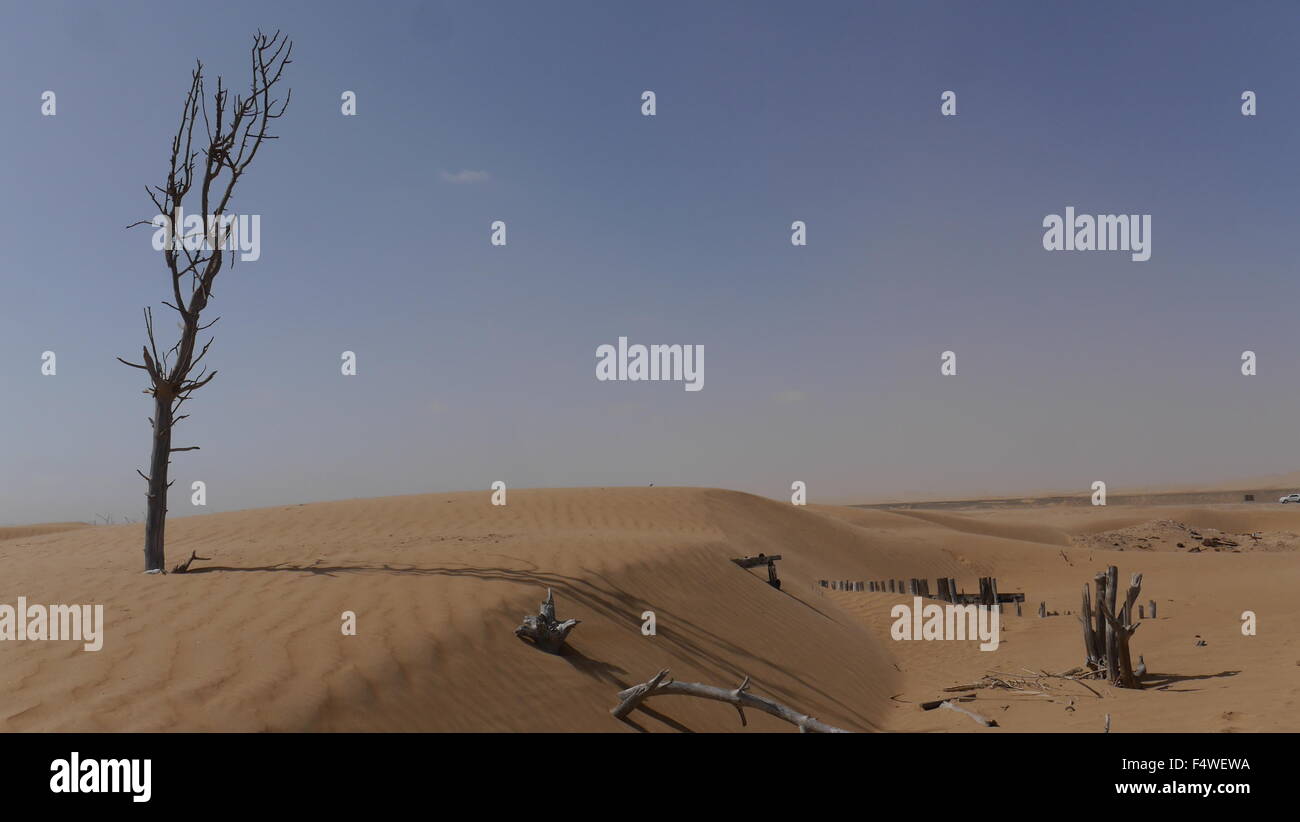 Ghost tree namibia hi-res stock photography and images - Alamy