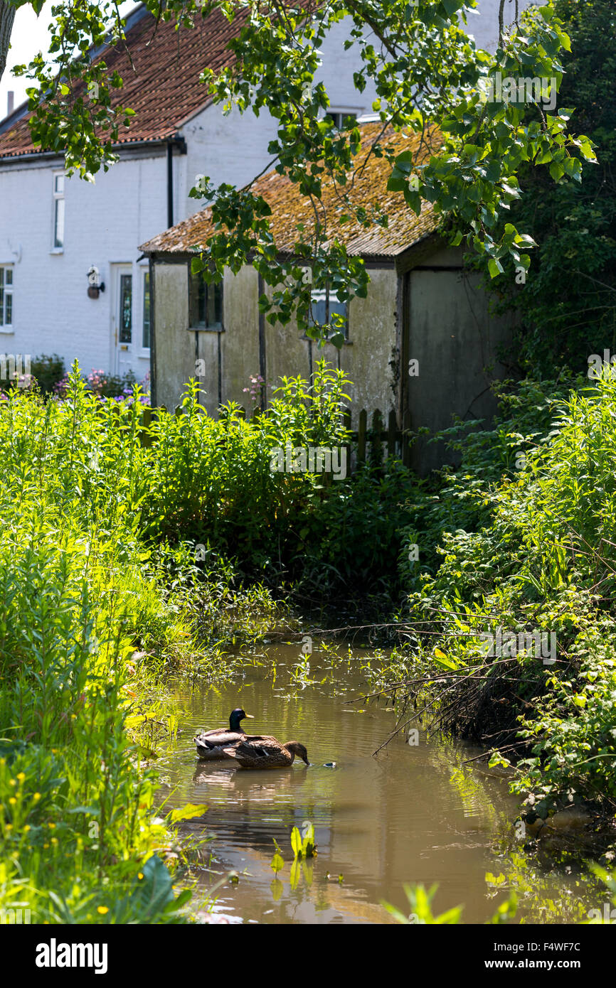 Quiet Village stream. Acle Norfolk Broads England UK Stock Photo - Alamy