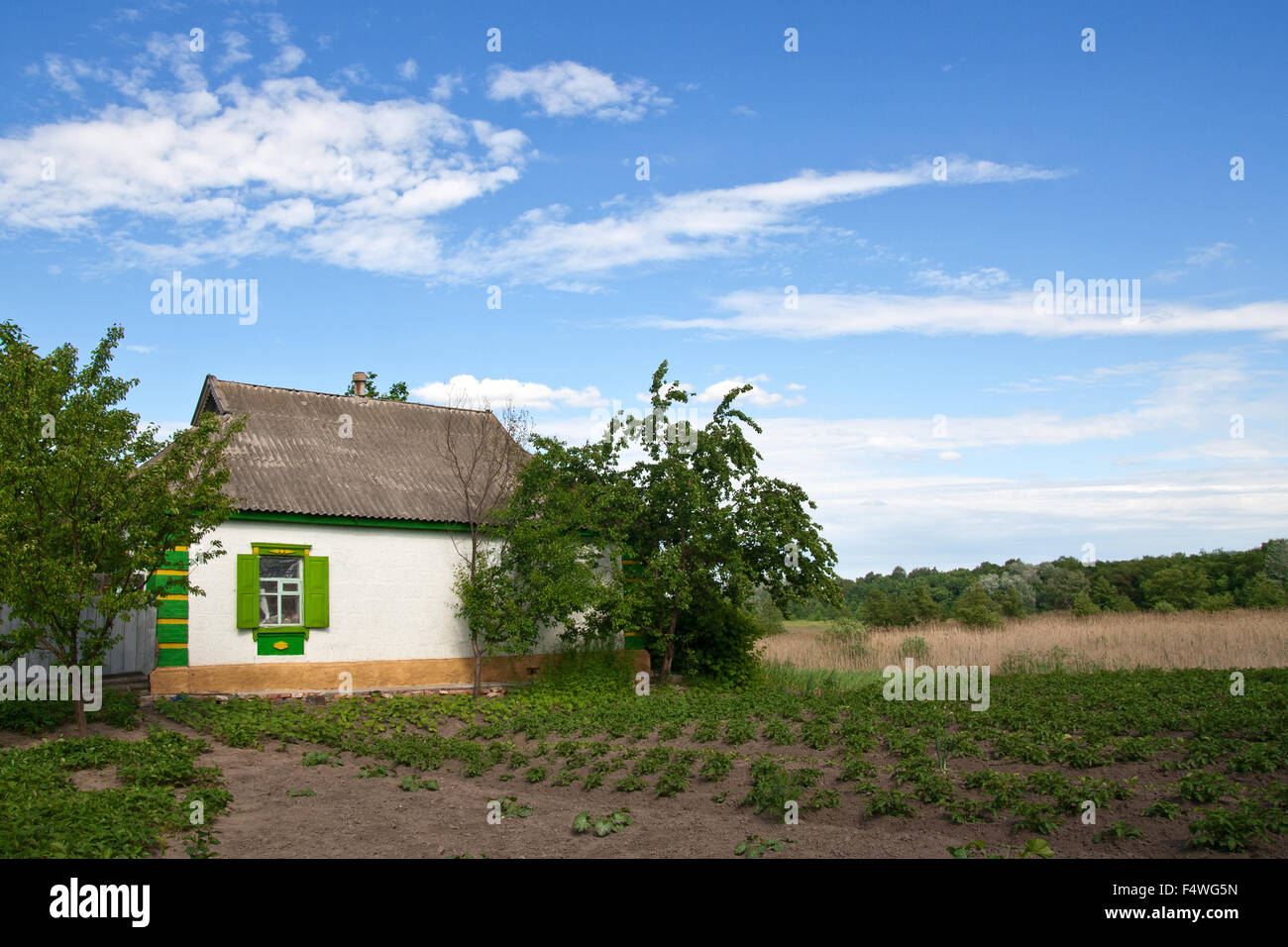 Traditional cottage house with a garden in central region of Ukraine ...