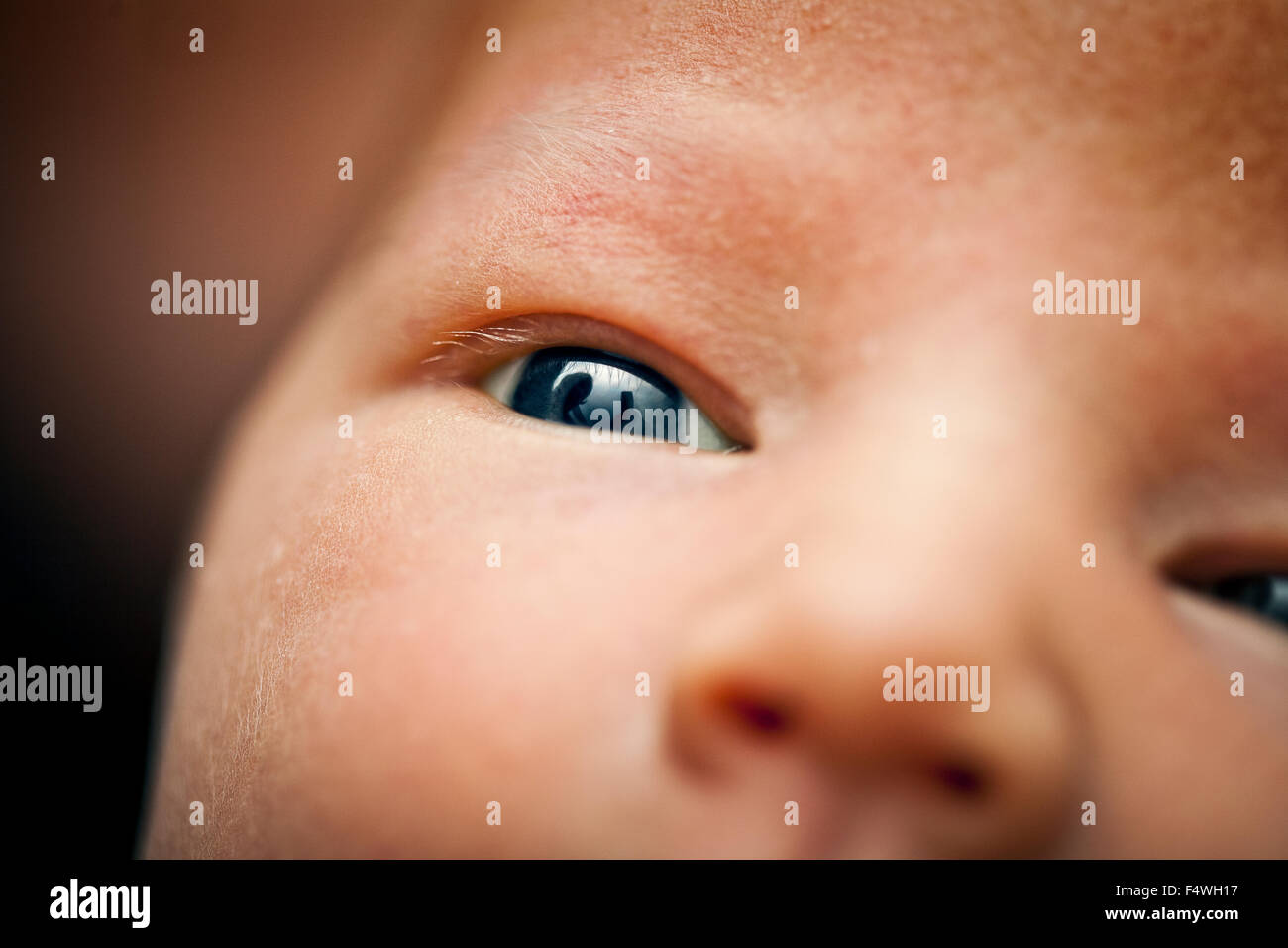 Months 1 hi-res stock photography and images - Alamy