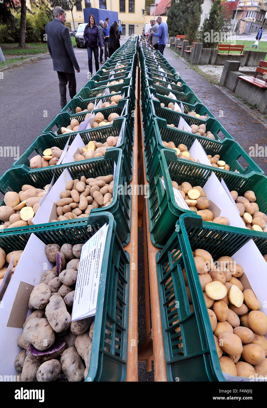 Potato growers' seminar as part of 25th potato growers days was held in ...