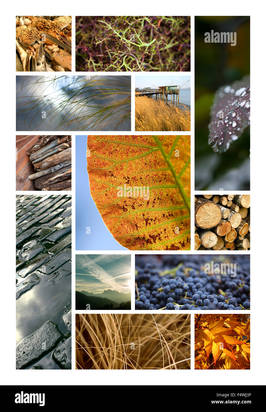 Landscapes and nature in Autumn on a collage Stock Photo - Alamy