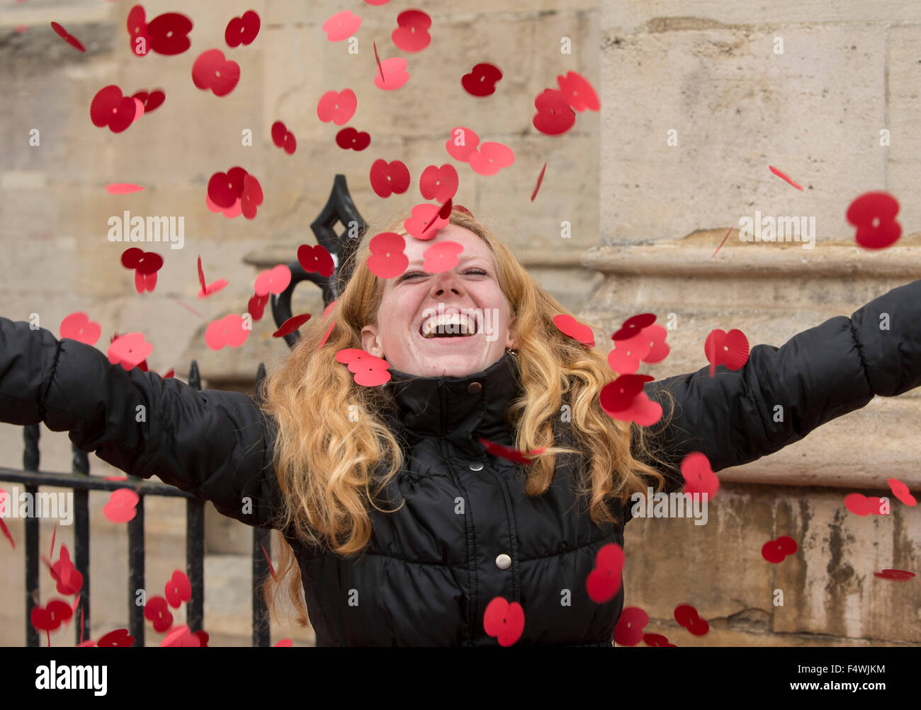 Falling poppies hi-res stock photography and images - Alamy