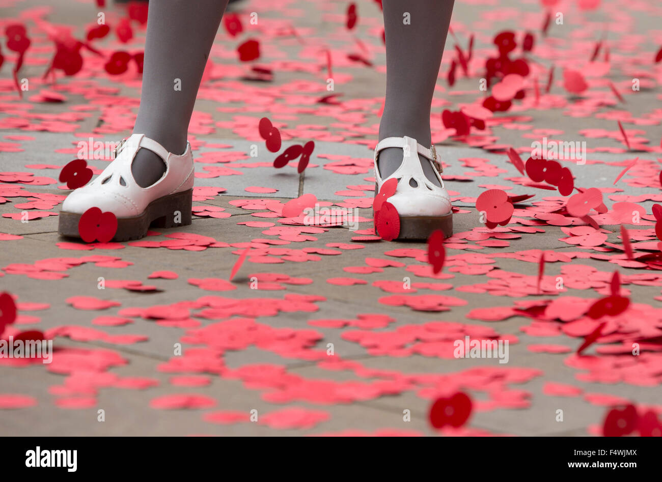 Falling poppies hi-res stock photography and images - Alamy