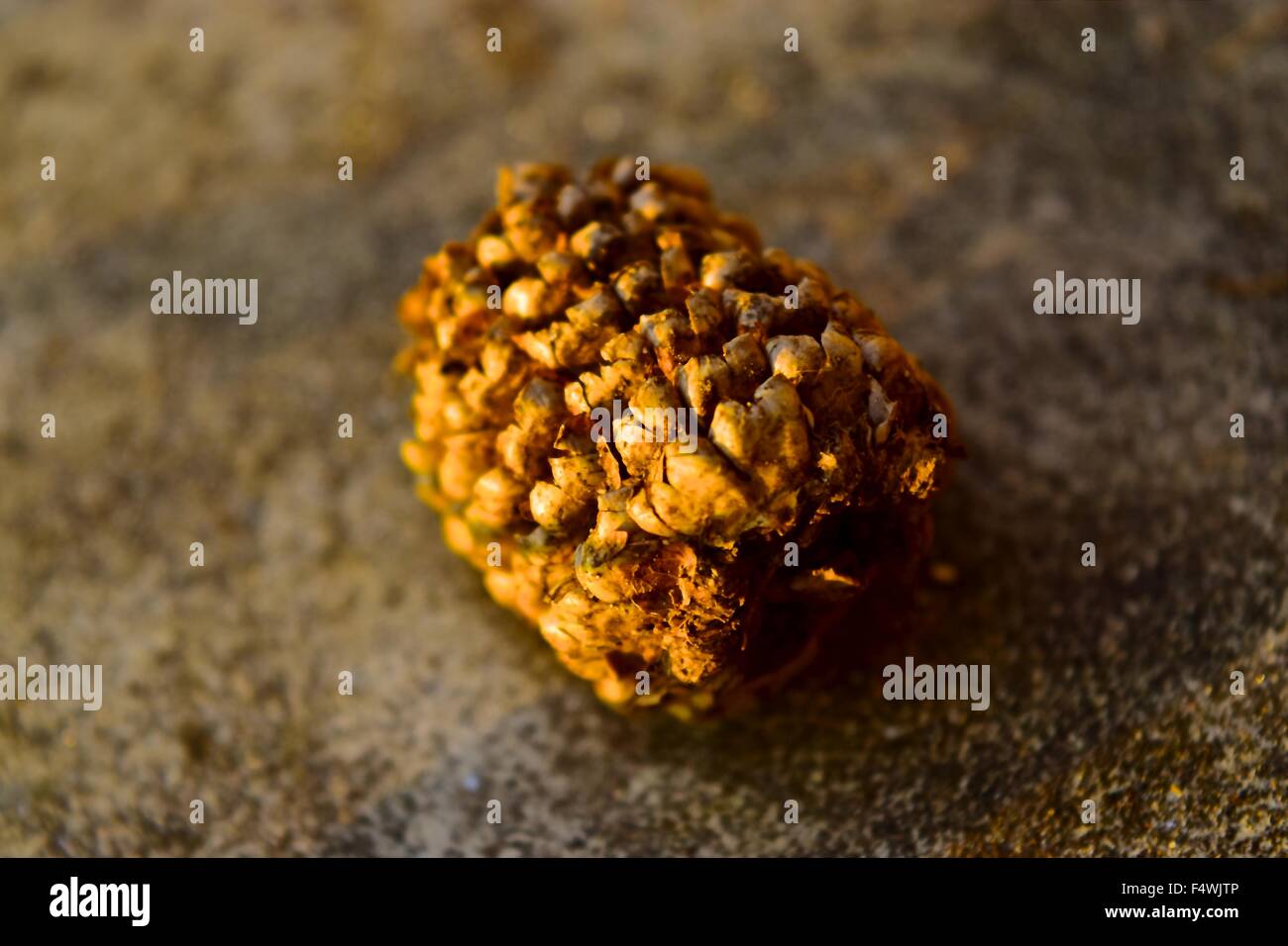 Beautiful Natural Object Stock Photograph Stock Photo - Alamy