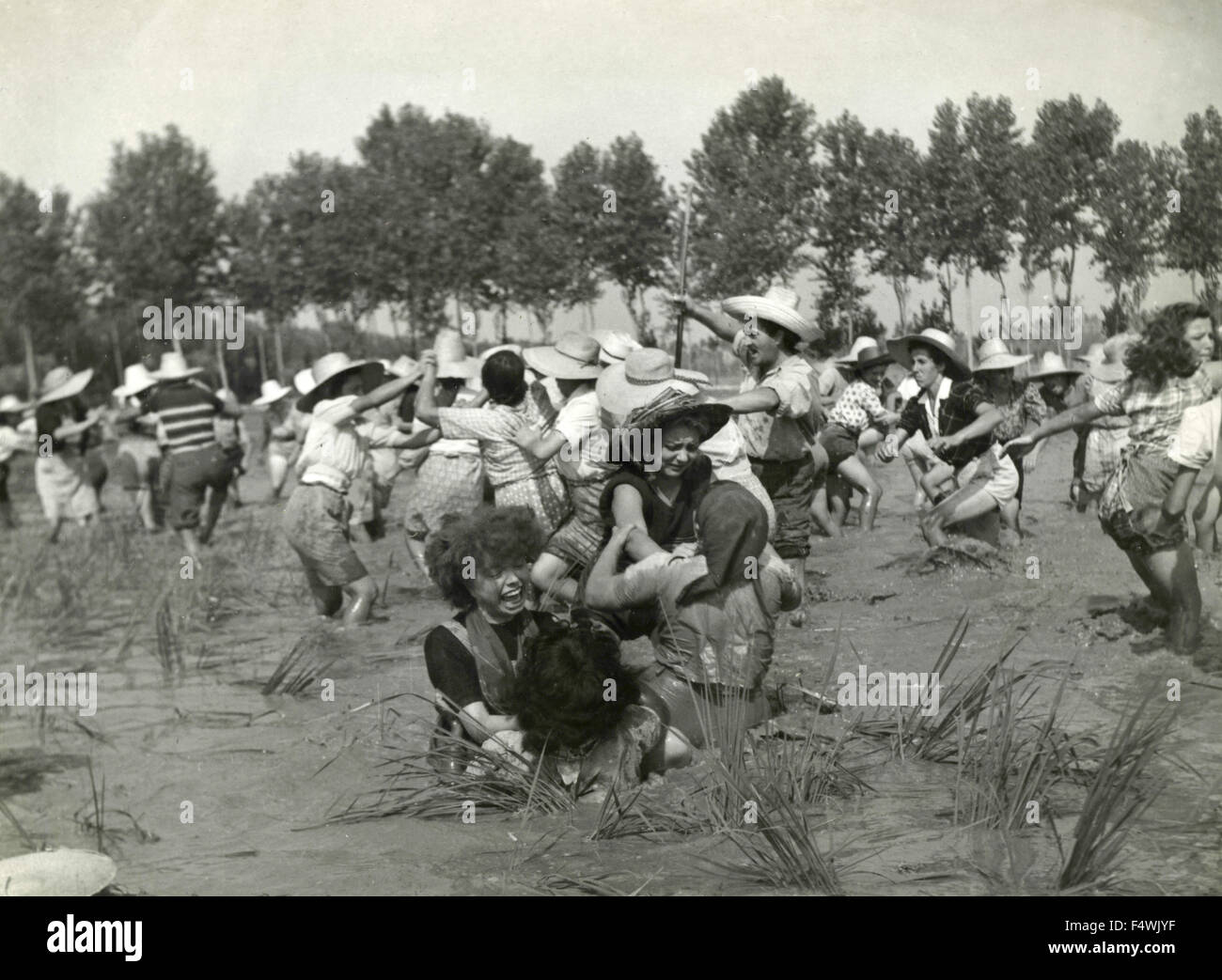 A scene from the film "Riso Amaro" where women rise weeders fight Stock ...